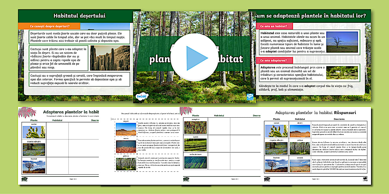 Adaptarea plantelor la habitat – Pachet cu resurse