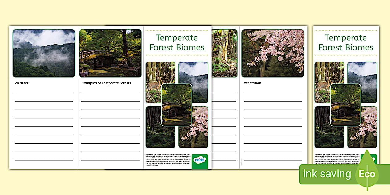 Temperate Forest Biomes Leaflet Template (Teacher-Made)