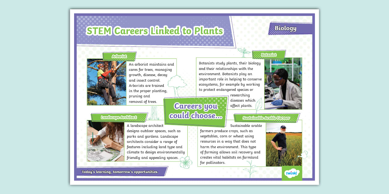 Plants STEM Careers Poster - KS2 - Twinkl