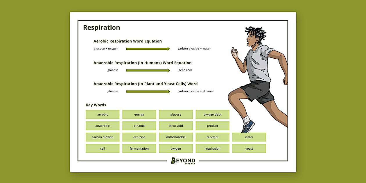 Respiration Word Mat (teacher made) - Twinkl