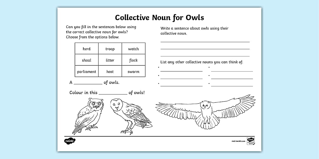 Parliament of Owls Collective Noun Worksheet
