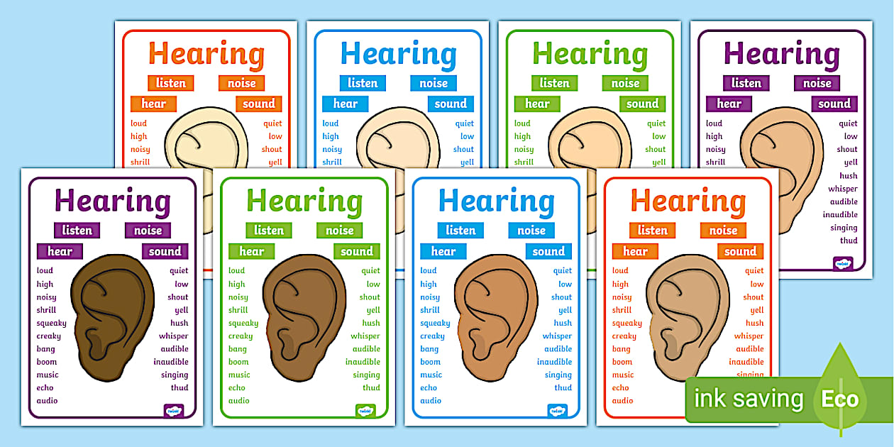Editable Hearing Vocabulary Display Poster (teacher made)