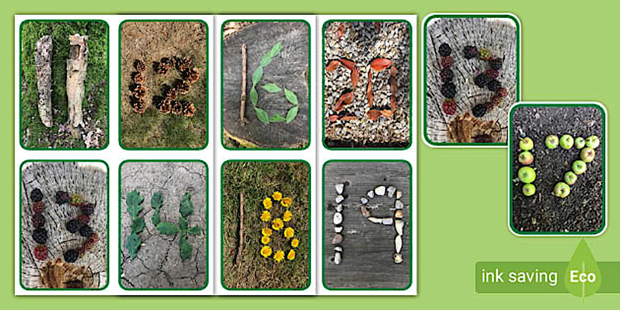 👉 Nature-Themed Numbers 11-20 Flashcards | KS1 Numeracy