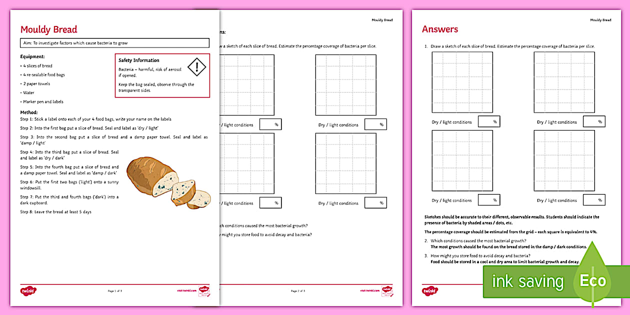 Editable Moldy Bread Experiment - Instruction Sheet Print-Out