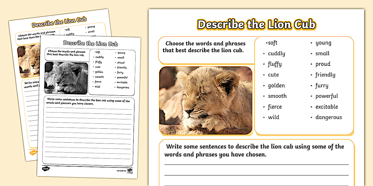 Describe the Lion Cub Worksheet (teacher made) - Twinkl