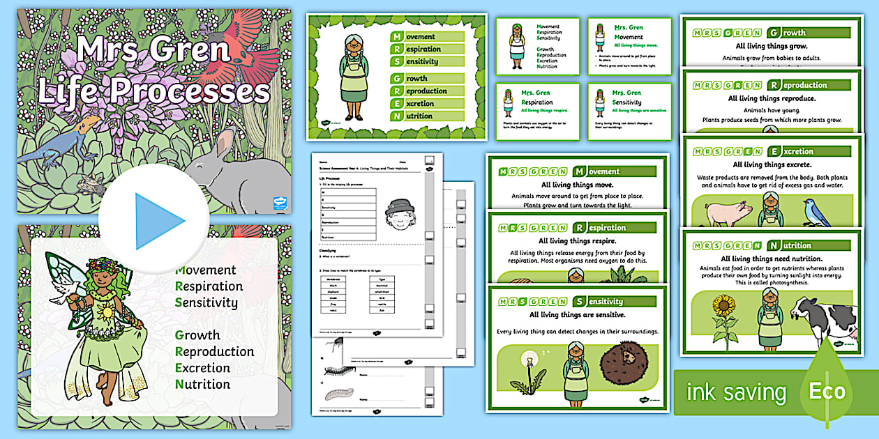 MRS GREN Activity Pack | Life Processes Resource Pack