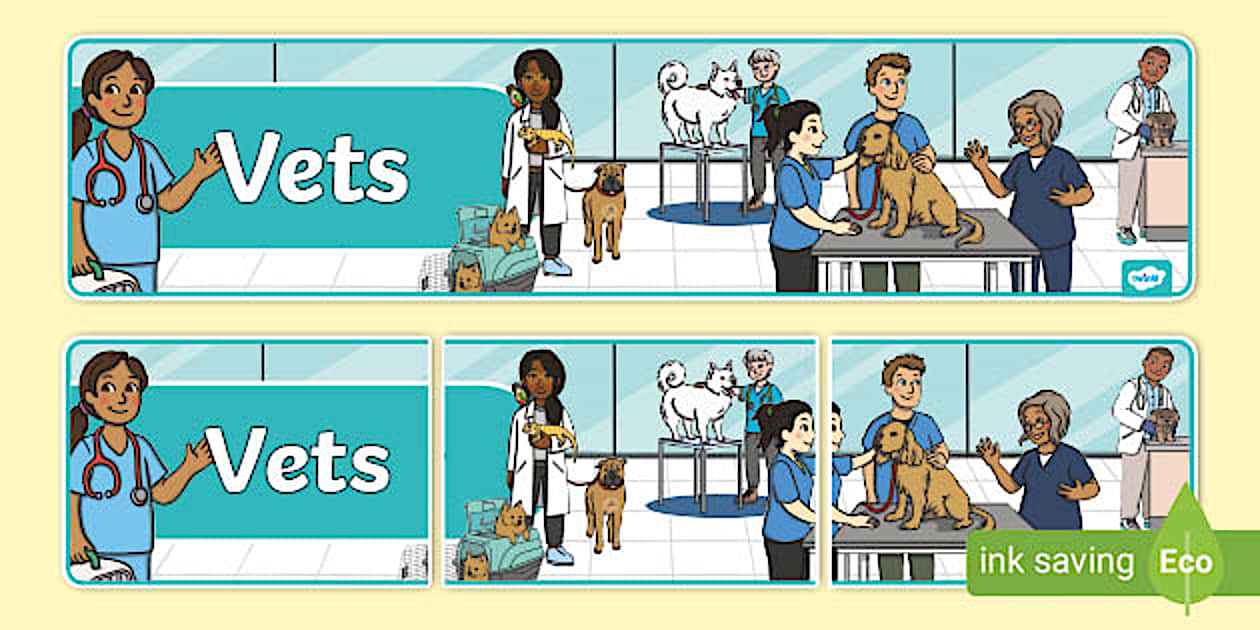 Vets Display Banner - People Who Help Us (teacher made)