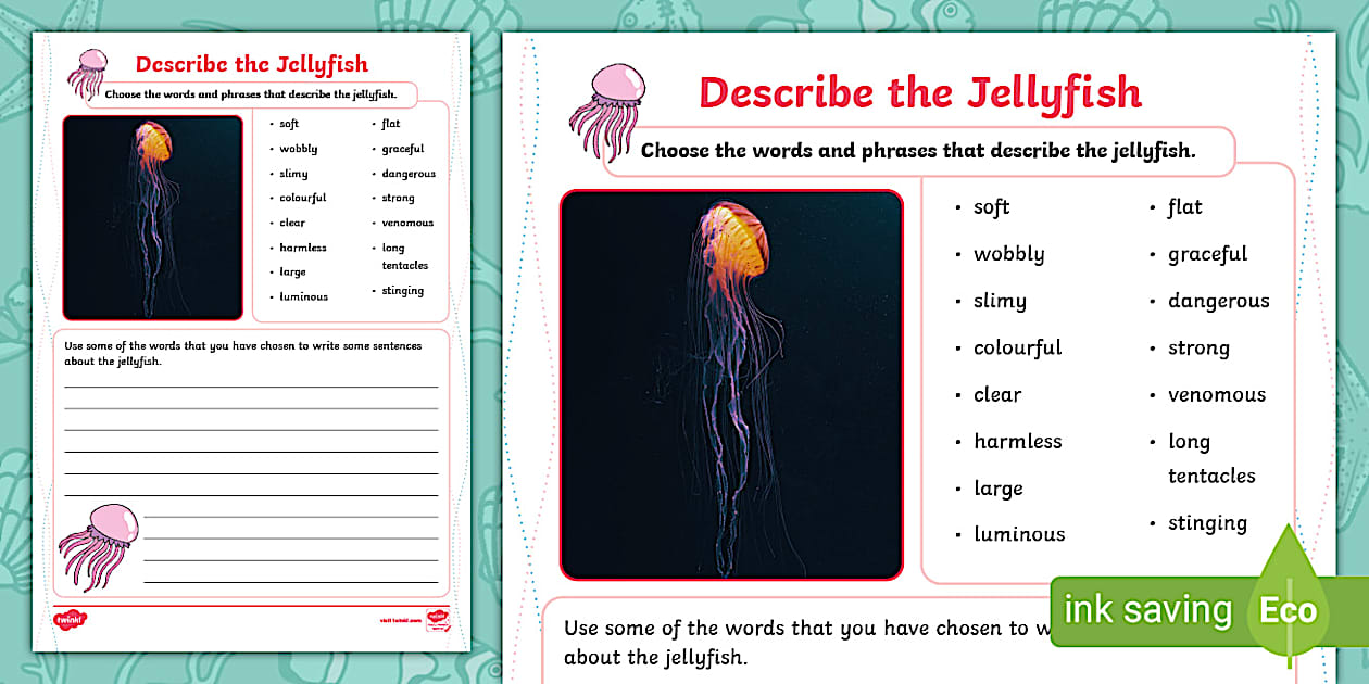 Describe the Jellyfish Writing Activity (teacher made)