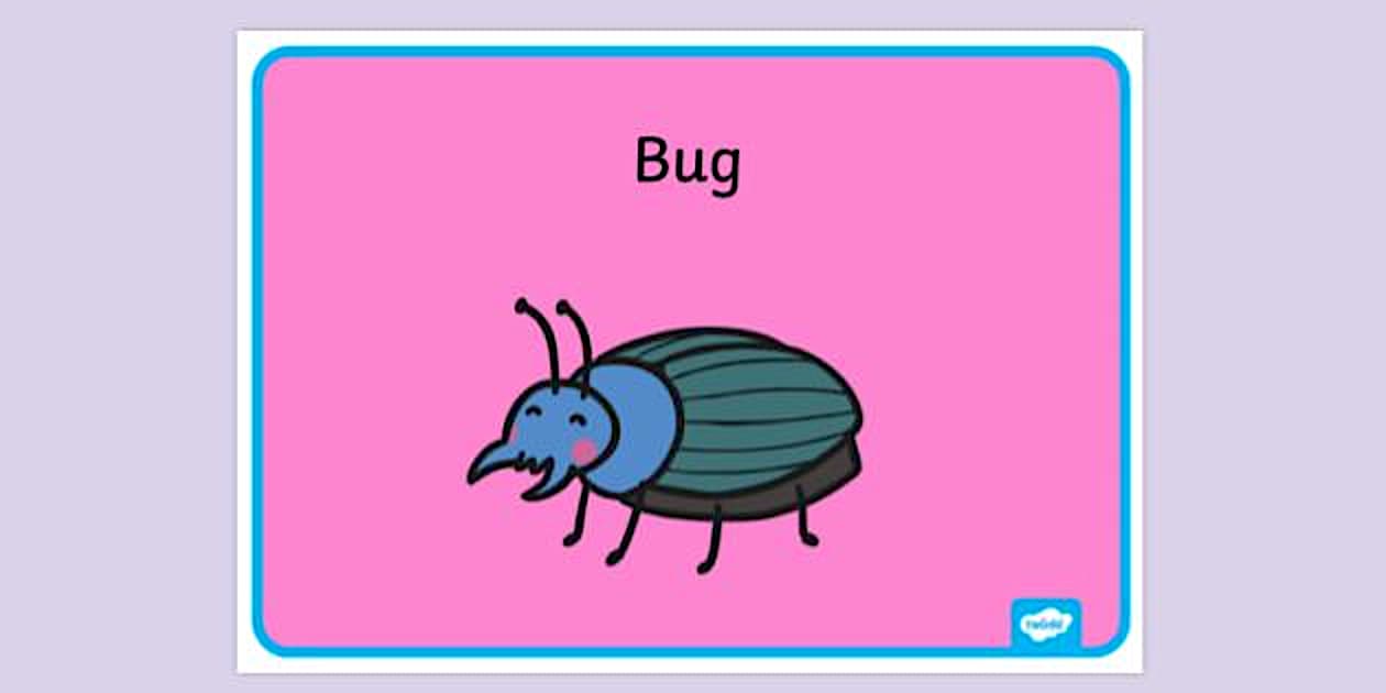 Fun Illustrated Bug Poster | Twinkl Primary Resources