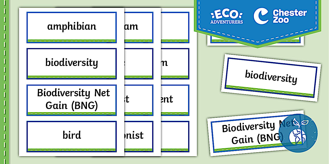 Year 5 Biodiversity Vocabulary Cards