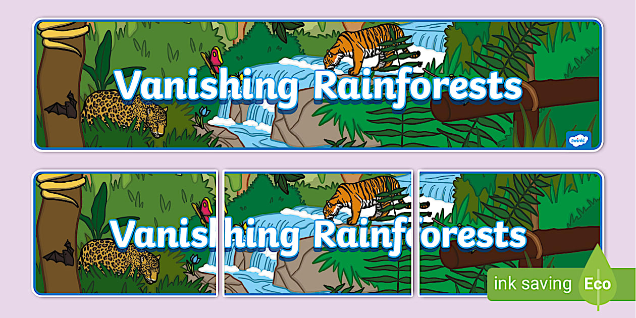 Vanishing Rainforests Display Banner - (teacher made)