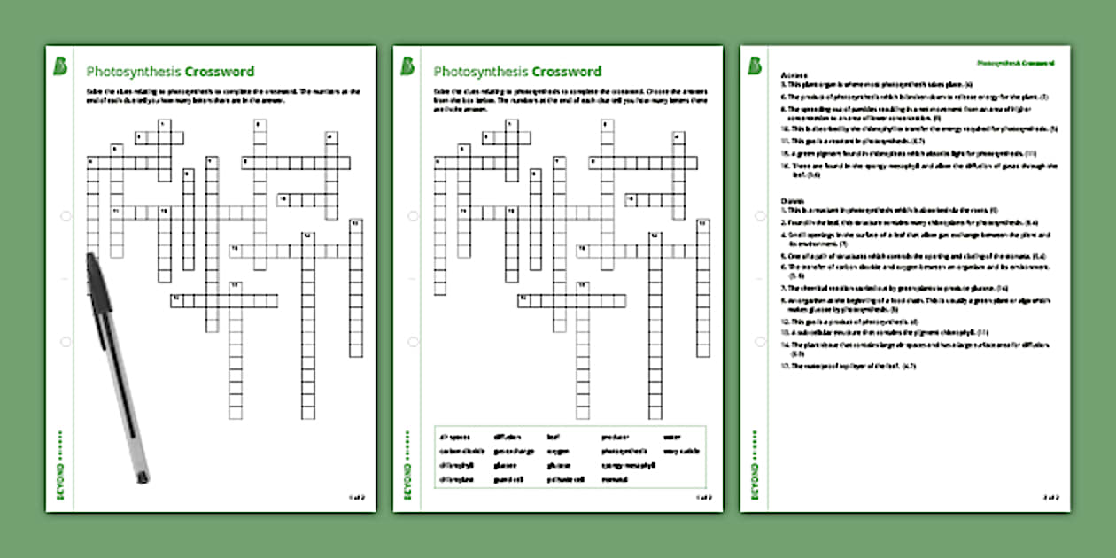 Photosynthesis Crossword (teacher made) - Twinkl