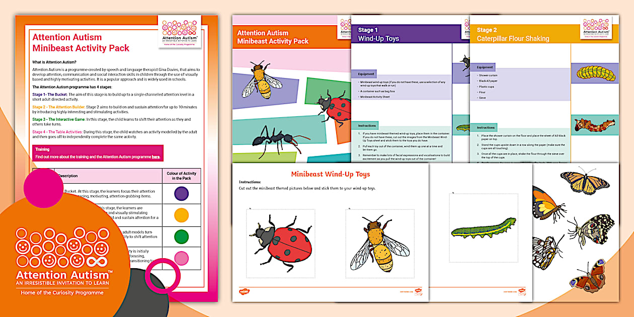 Attention Autism Mini Beast Activity Pack (teacher made)