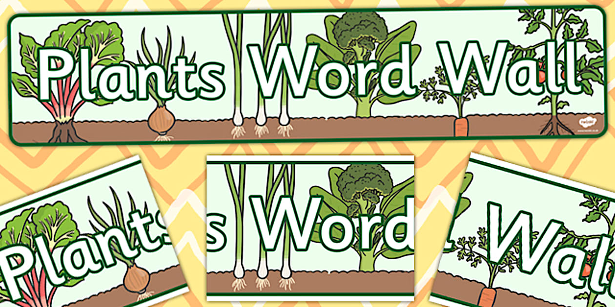 Plants Word Wall Display Banner (teacher made) - Twinkl