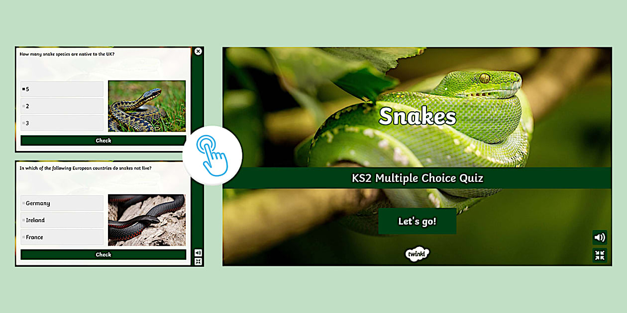 KS2 Snakes Interactive Multiple Choice Quiz - Reptiles