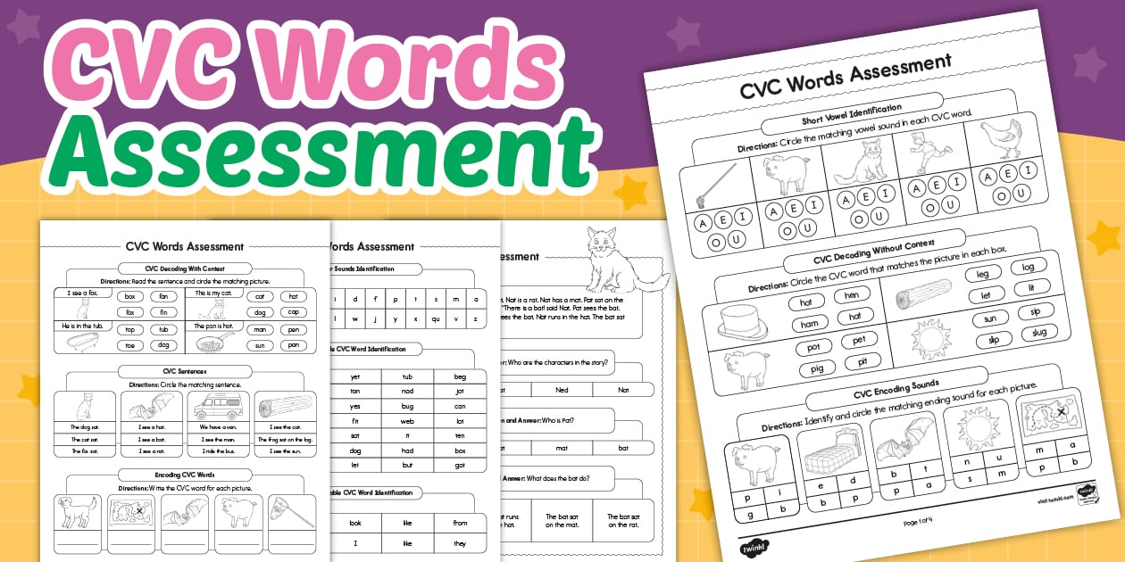 Kindergarten CVC Words Phonics Assessment (teacher made)
