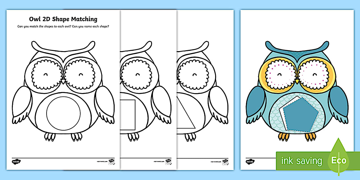 Owl-Themed 2D Shape Matching Activity - Twinkl