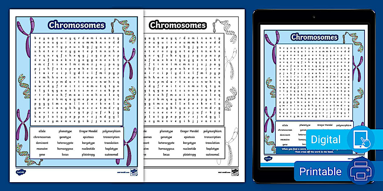 Chromosomes Word Search for 6th-8th Grade (Teacher-Made)