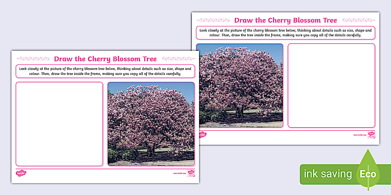Draw the Cherry Blossom Tree Activity - Twinkl