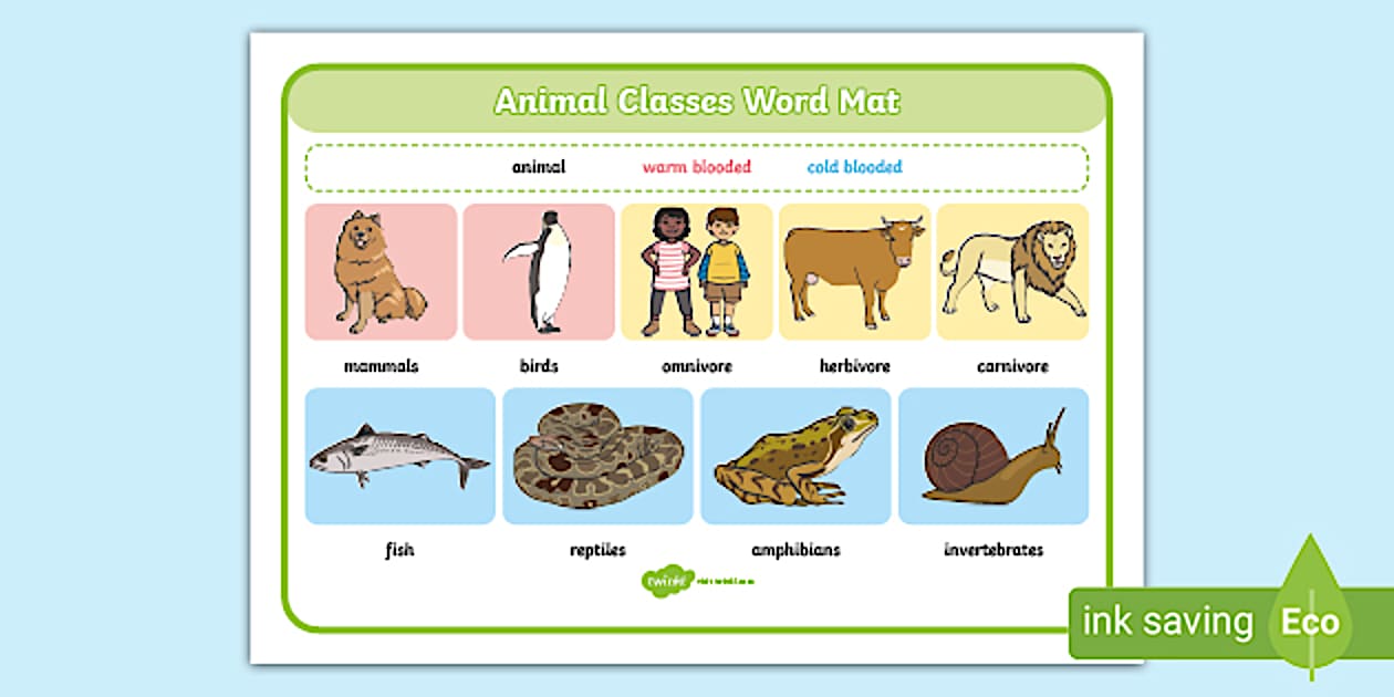 Animal Classes Word Mat (l'enseignant a fait) - Twinkl