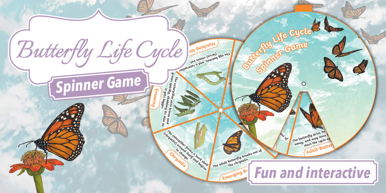 Butterfly Life Cycle Spinner Game - Twinkl