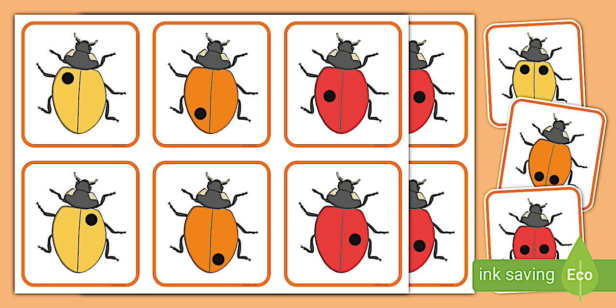👉 Ladybird 1 and 2 Sorting Cards | Twinkl (Teacher-Made)