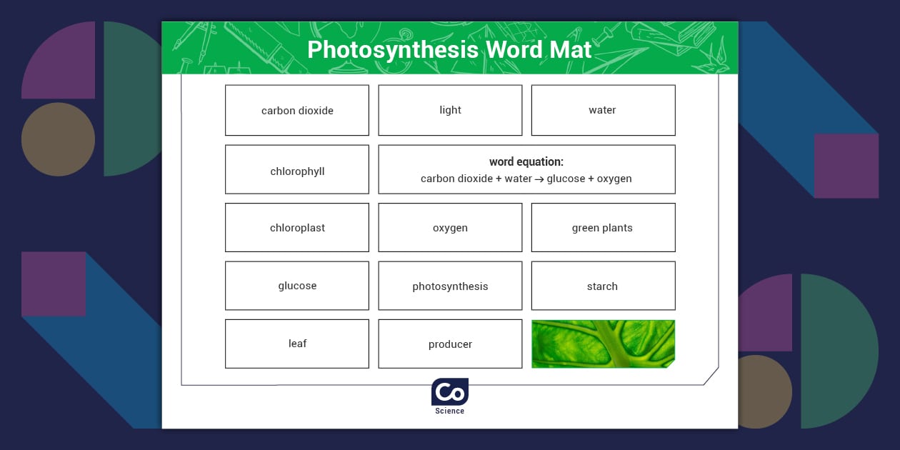 Photosynthesis: Key Word Revision Mat (teacher made)