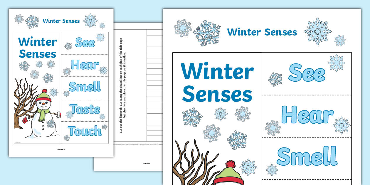 Winter Senses Flapbook - Twinkl Vocabulary (Teacher-Made)