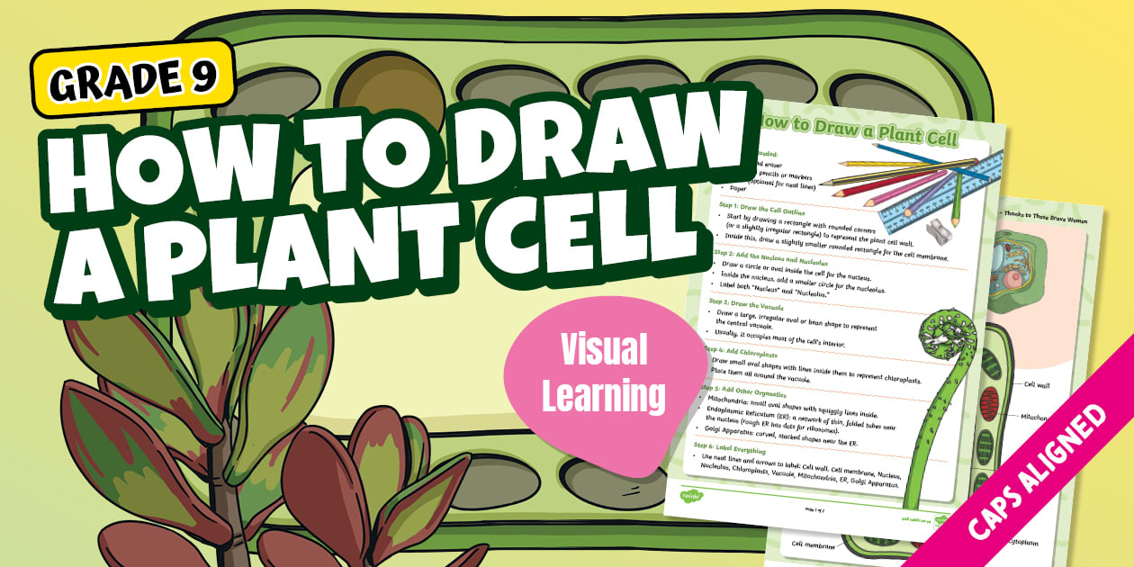 Grade 9 NS - Term 1- How to Draw a Plant Cell - Worksheet