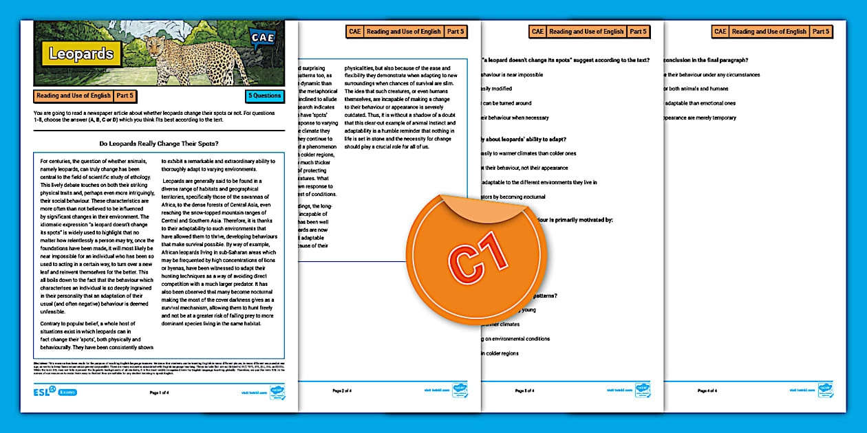 C1 Advanced Reading and Use of English Part 5 Practice