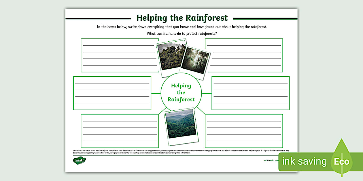 Helping the Rainforest Mind Map (teacher made) - Twinkl