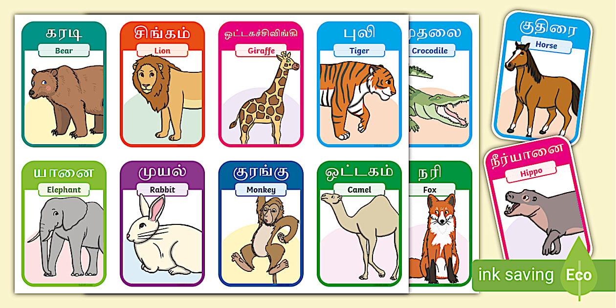 40 Animal Flash Cards in Tamil/English - Twinkl