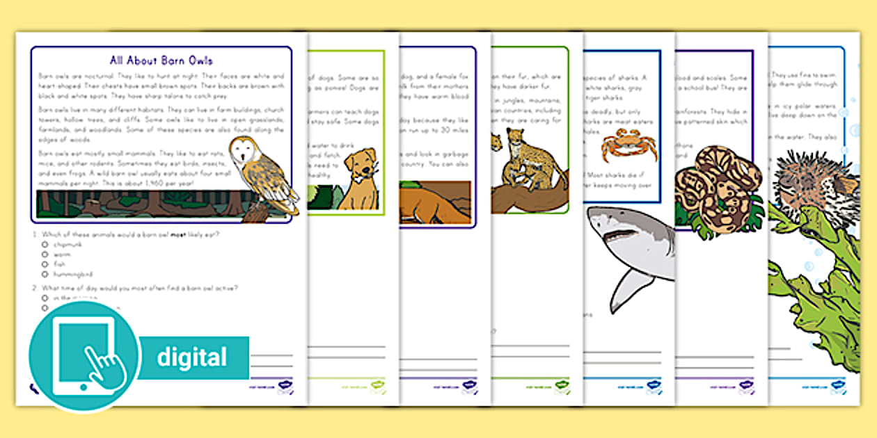 Reading About Animals | ELA | Twinkl USA (teacher made)