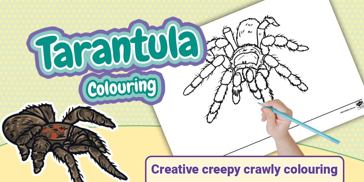 * NEW * Tarantula Colouring Page
