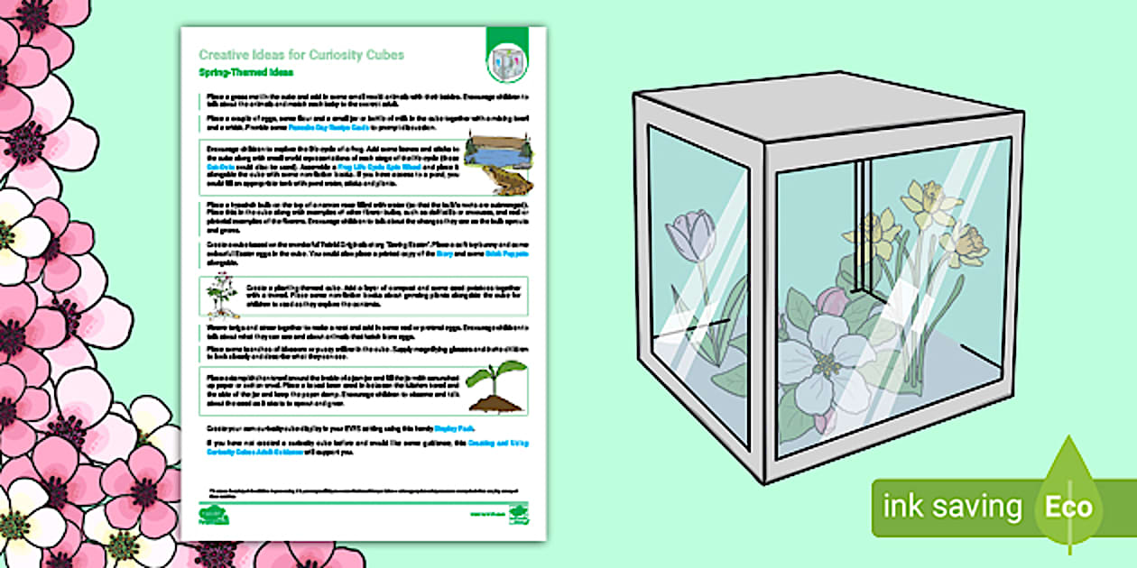 Early Years Curiosity Cube: Spring - Twinkl