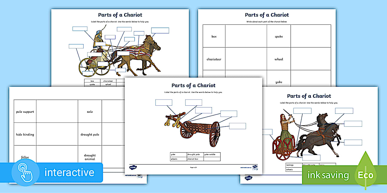 Parts of a Chariot Activity Sheets (teacher made) - Twinkl