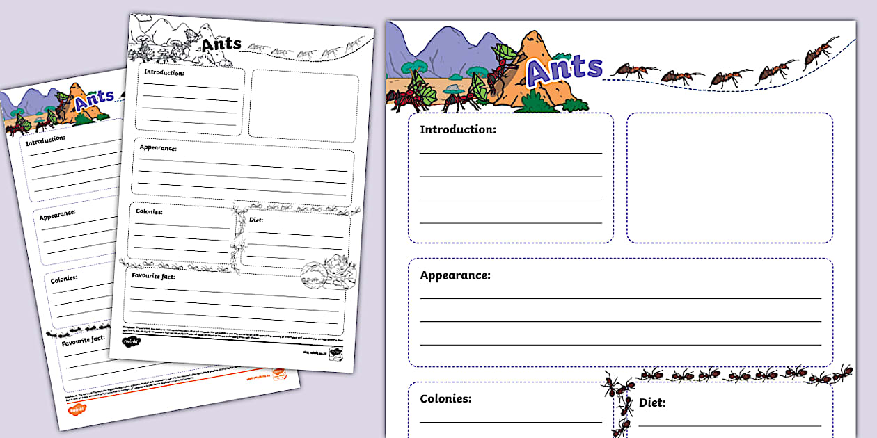 Ants Non-Chronological Report Writing Template - Twinkl