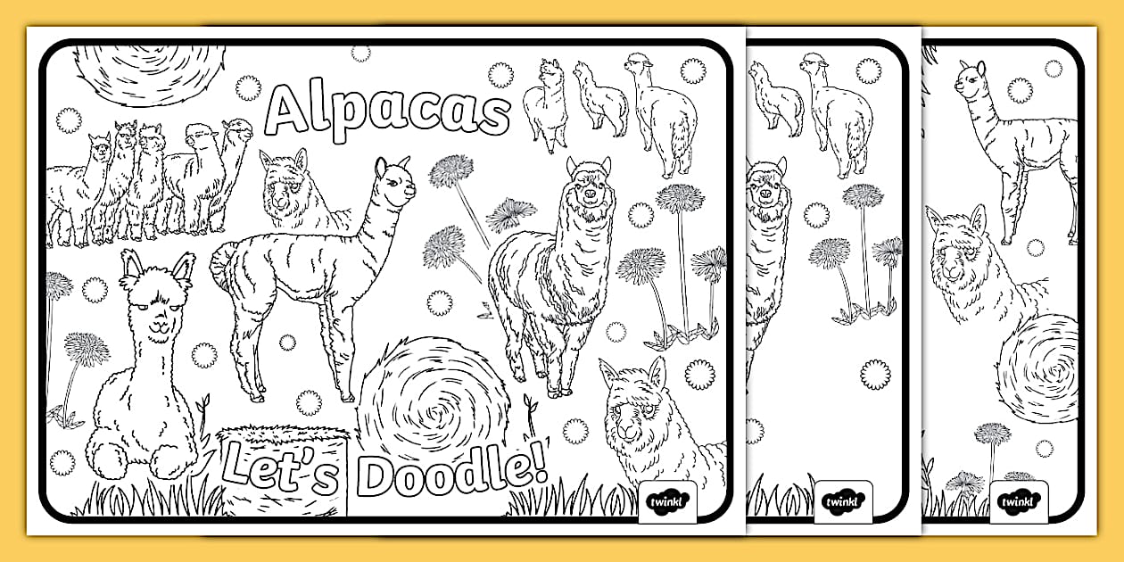 Alpaca Doodle Colouring Page (Teacher-Made) - Twinkl