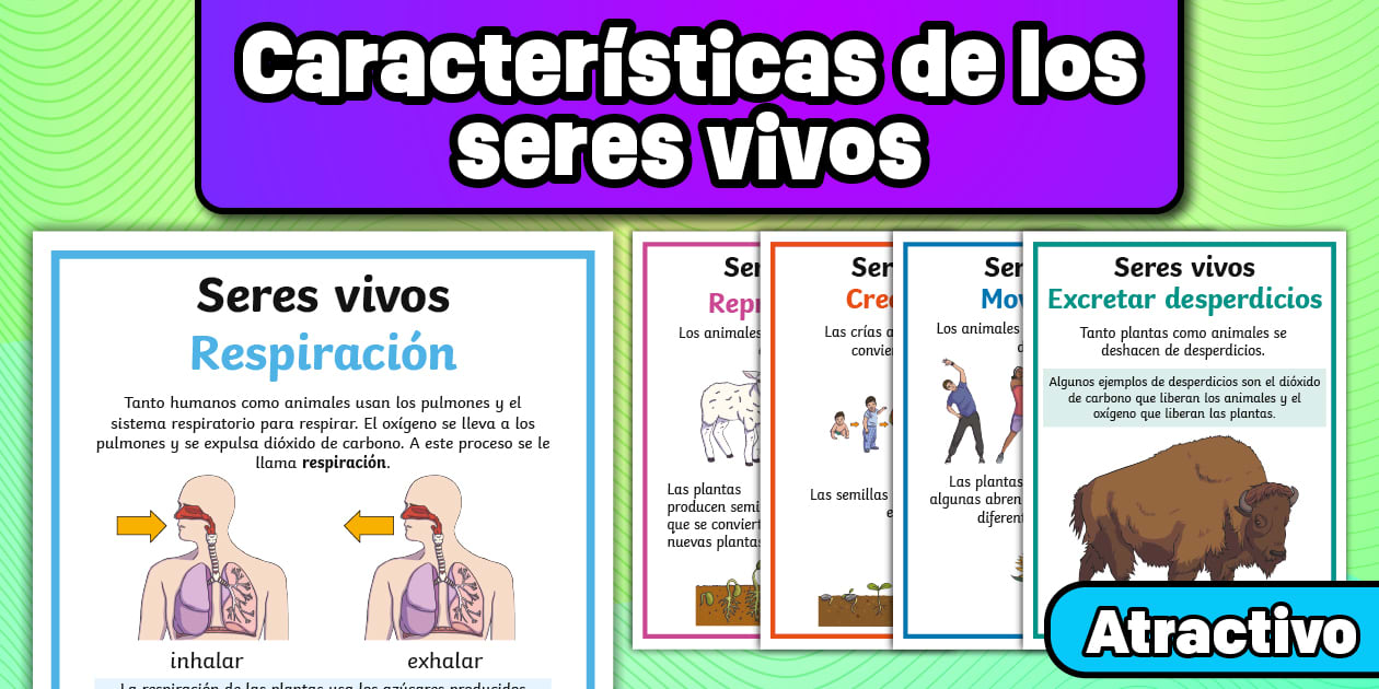 Cartel ilustrativo de las características de los seres vivos