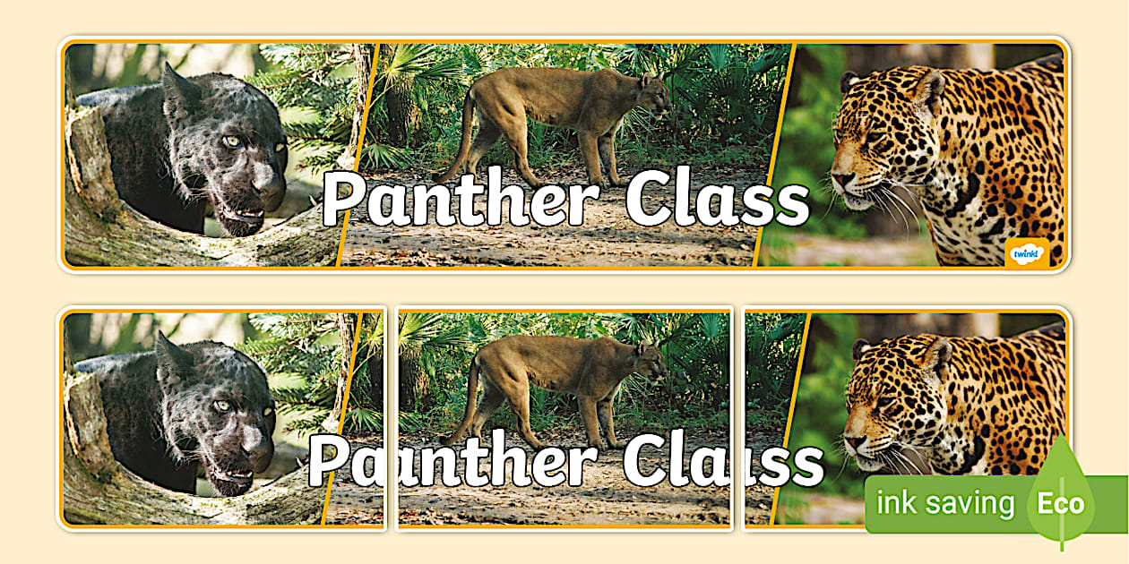 Panther Class Display Banner (teacher made) - Twinkl