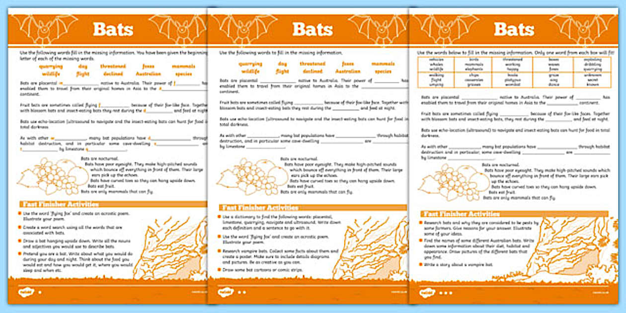 Australian Animals Years 3-6 Bats Differentiated Cloze Passage Worksheet