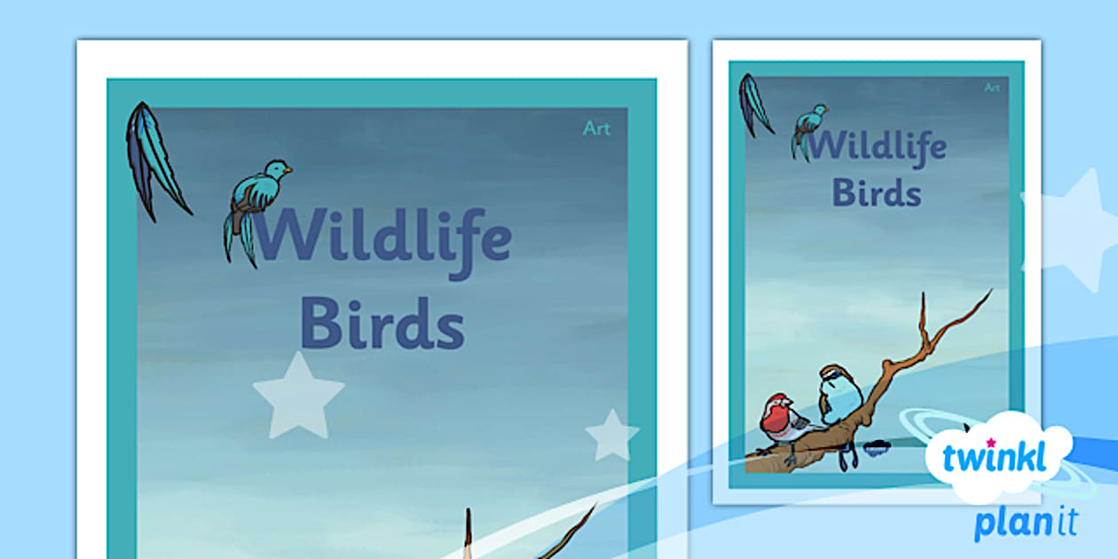 Editable Art: Wildlife UKS2 Unit Book Cover (teacher made)