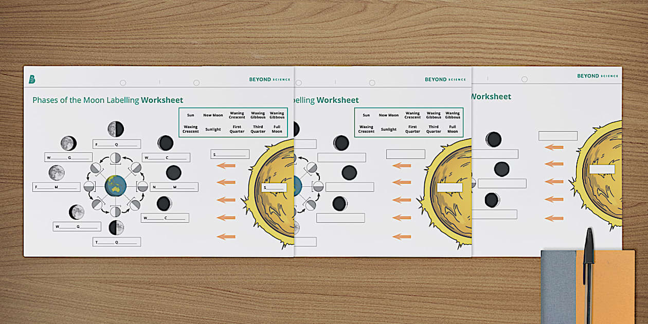 Phases of the Moon Labelling Worksheet (teacher made)