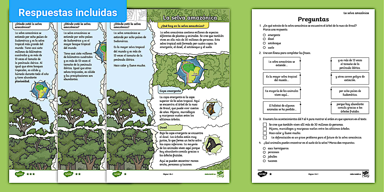 Comprensión lectora por niveles: La selva amazónica