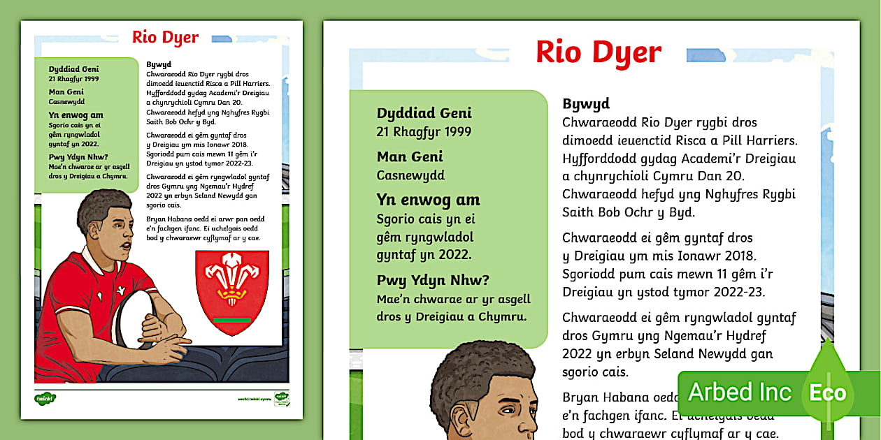 Ffeil Ffeithiau Rio Dyer (teacher made) - Twinkl