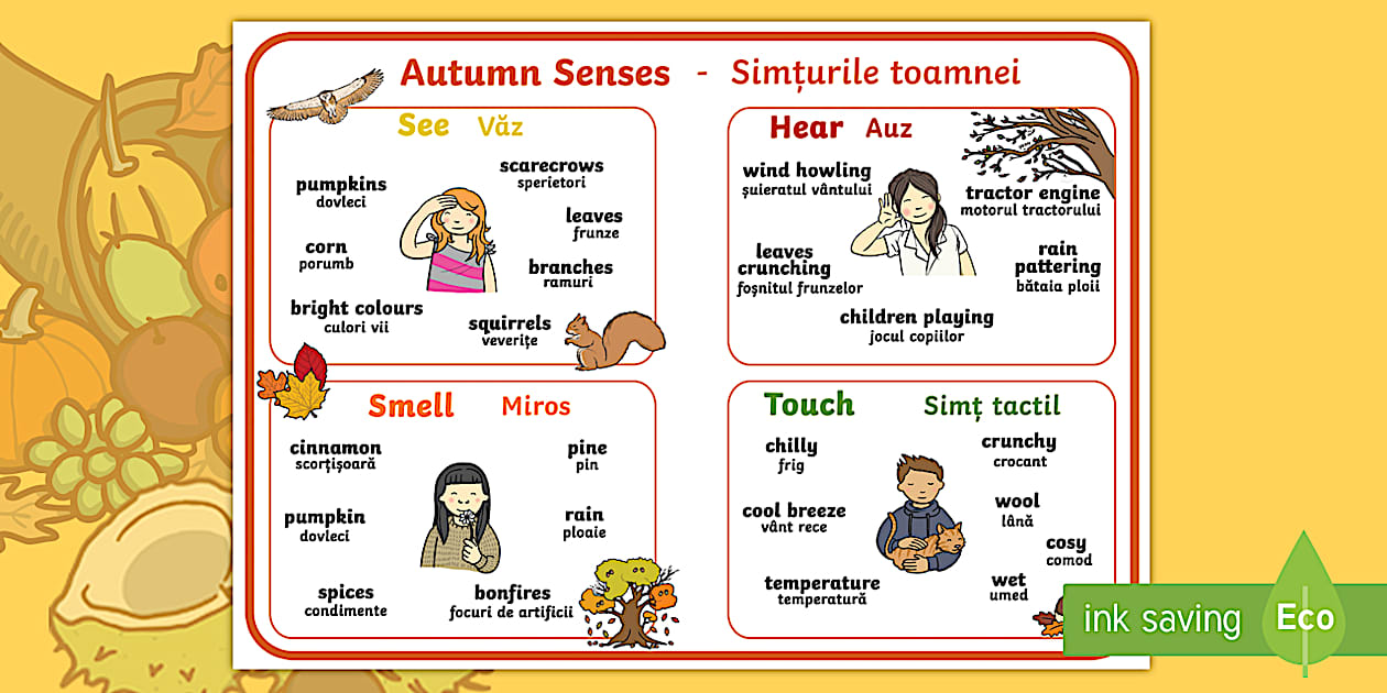 Autumn Senses Word Mat English/Romanian - Autumn Senses Word Mat
