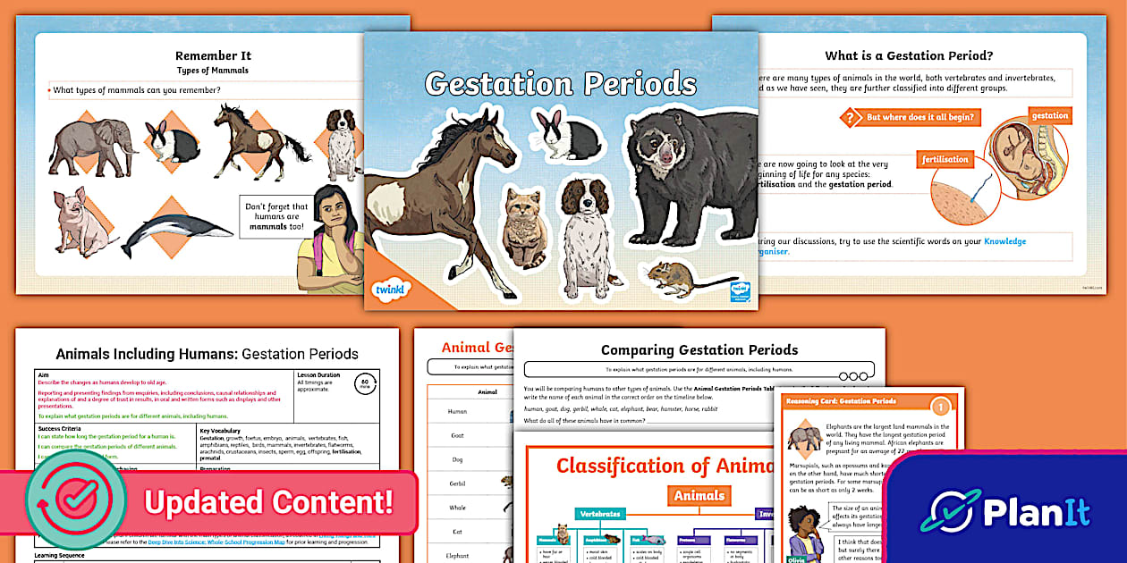 Science: Animals Including Humans: Gestation Periods Year 5 Lesson 1
