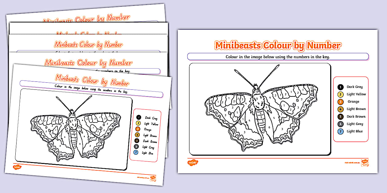 Australian Minibeasts Colour by Number Worksheet - Twinkl