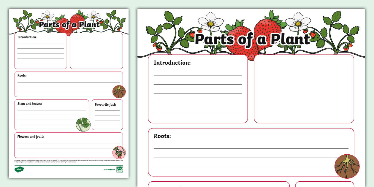 Parts of a Plant Non-Chronological Report Template