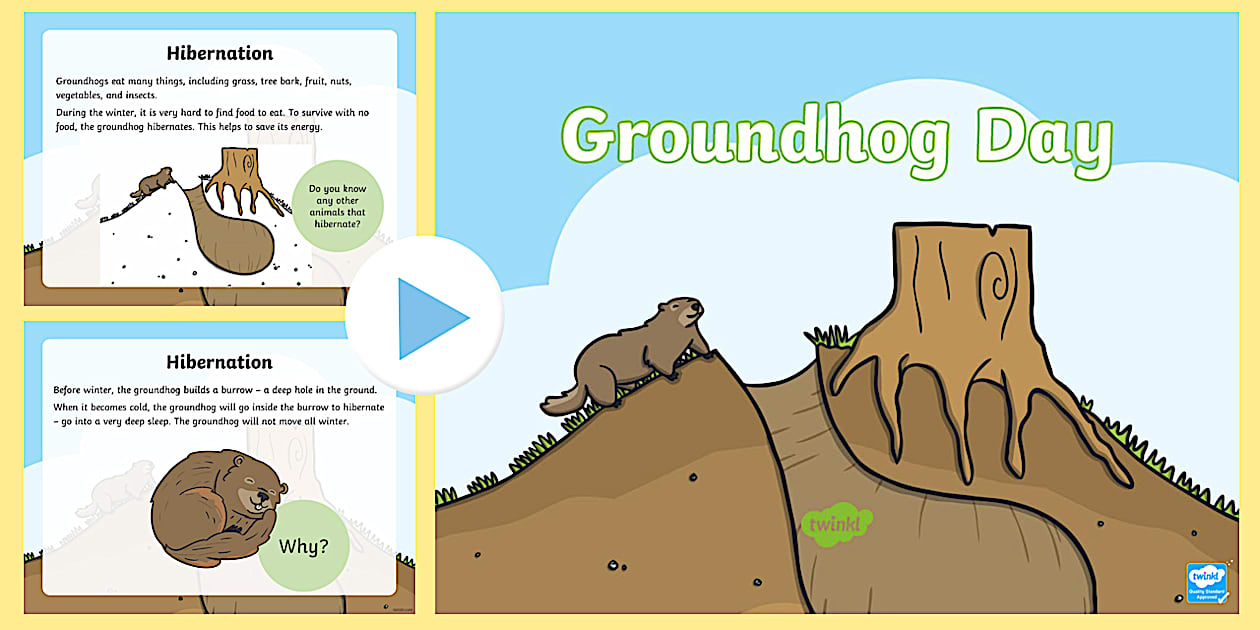 Groundhog Day Information | PowerPoint Resource | Twinkl